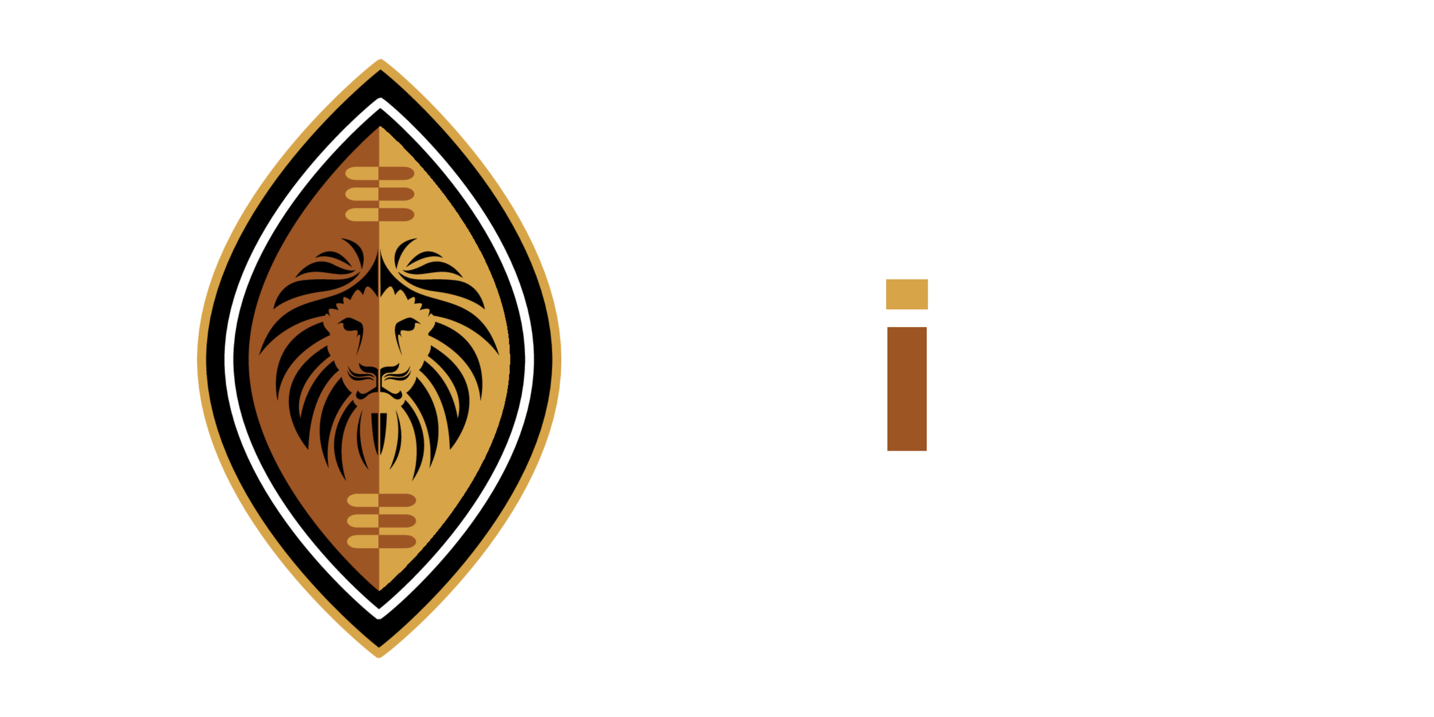 Vimtsire Protection | Over 25 Years of National Security Excellence